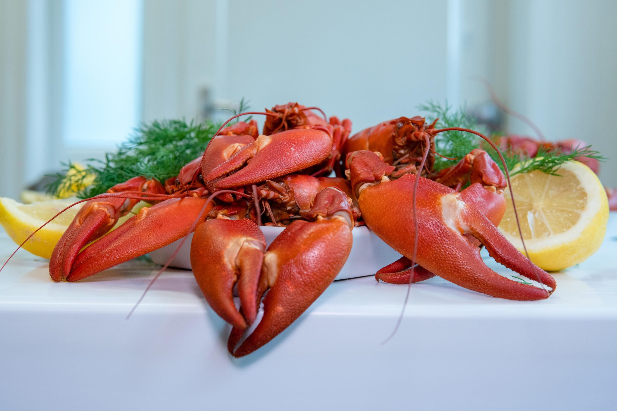 Shop Crayfish | Buy Crayfish Online | UK Crayfish