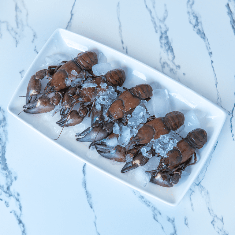 Kennet Crayfish - The Best Tasting Crayfish in the UK